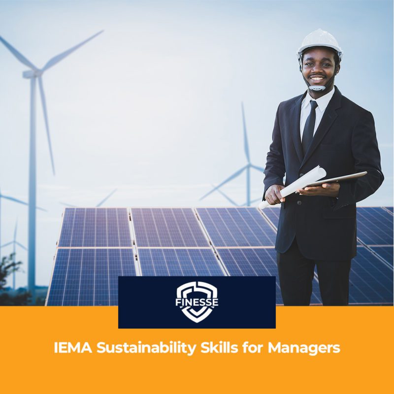 IEMA Sustainability Skills for Managers (online) - Finesse Consults